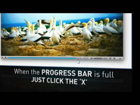 DivX Plus Software - DivX Plus Web Player 2/3