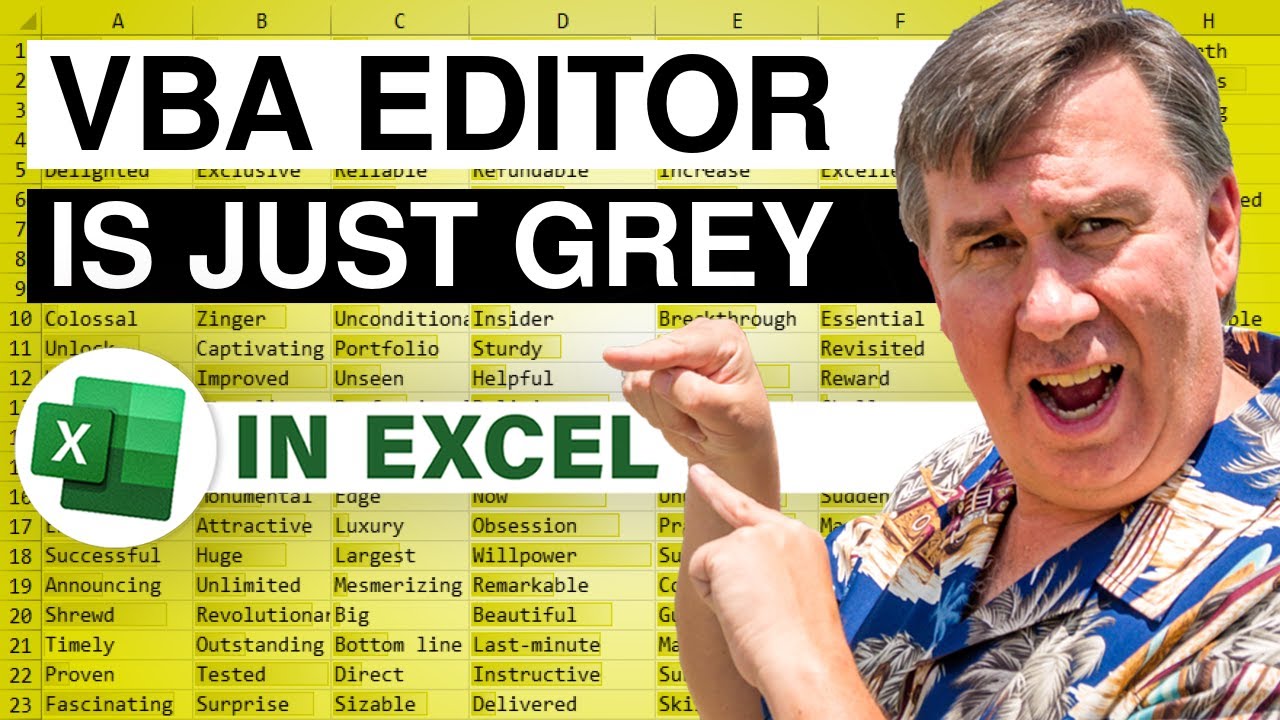 Excel VBA Window is All Grey Or Panes Will Not Redock Correctly - Episode 2603 | MrExcel Message ...