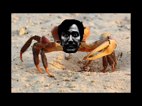 Steam Community :: Crab Game