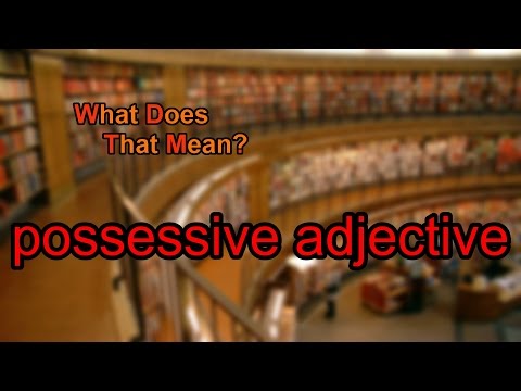 What does possessive adjective mean?