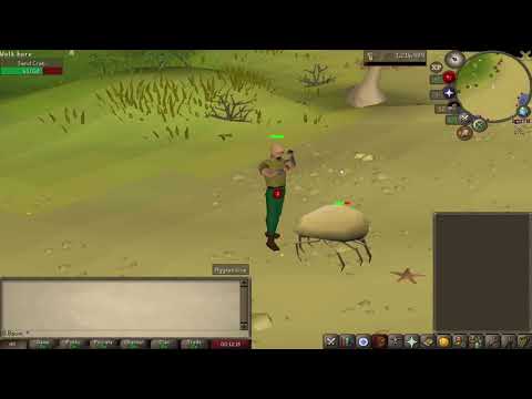 Killing a Sand Crab in OSRS