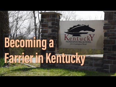 Farrier Education: Visiting Kentucky Horseshoeing School