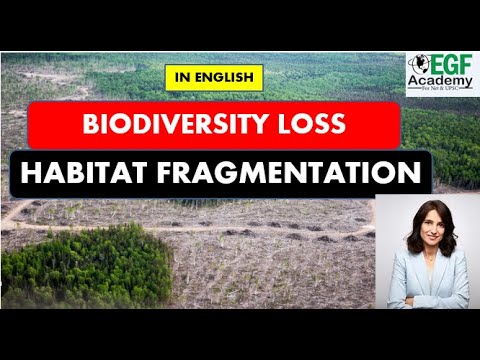 Biodiversity Loss l Habitat Fragmentation l Habitat Loss And Fragmentation l Invasive Alien Species