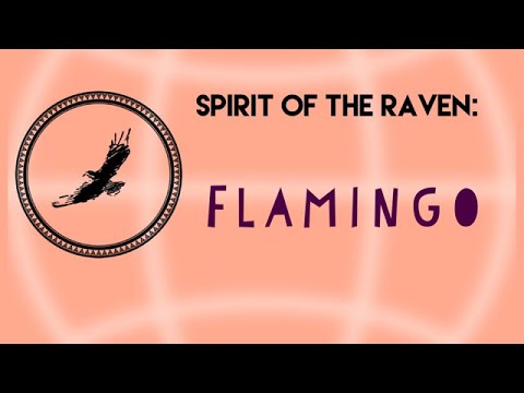 Are you an Empath? Flamingo Totem | Spirit of the Earth