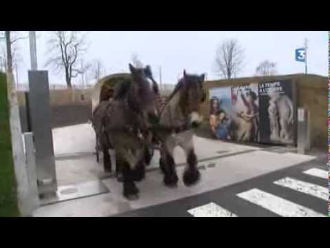 L’hippobus – La place de Saint Martin