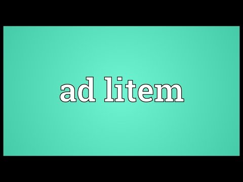 Ad litem Meaning