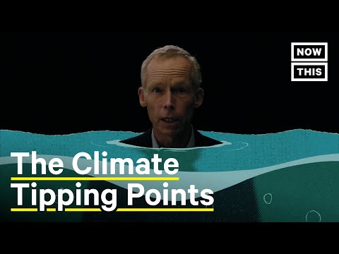 Scientist Johan Rockström Explains Earth's Climate Tipping Points | NowThis
