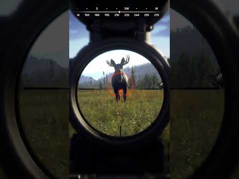 WAY OF THE HUNTER - Bow Moose Heart Shot