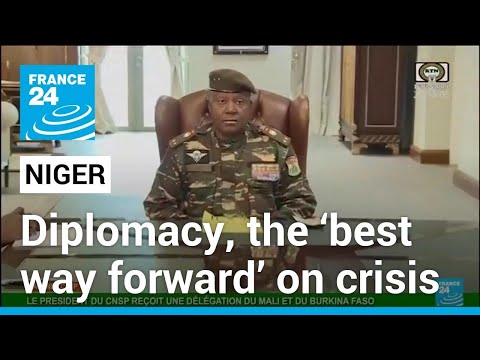 ECOWAS chairman says diplomacy is the ‘best way forward’ on Niger crisis • FRANCE 24 English