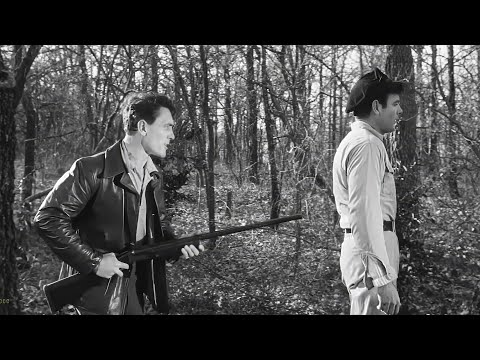 4K - The Killer Shrews (1959) They must eat 3 times their weight each day... OR STARVE!