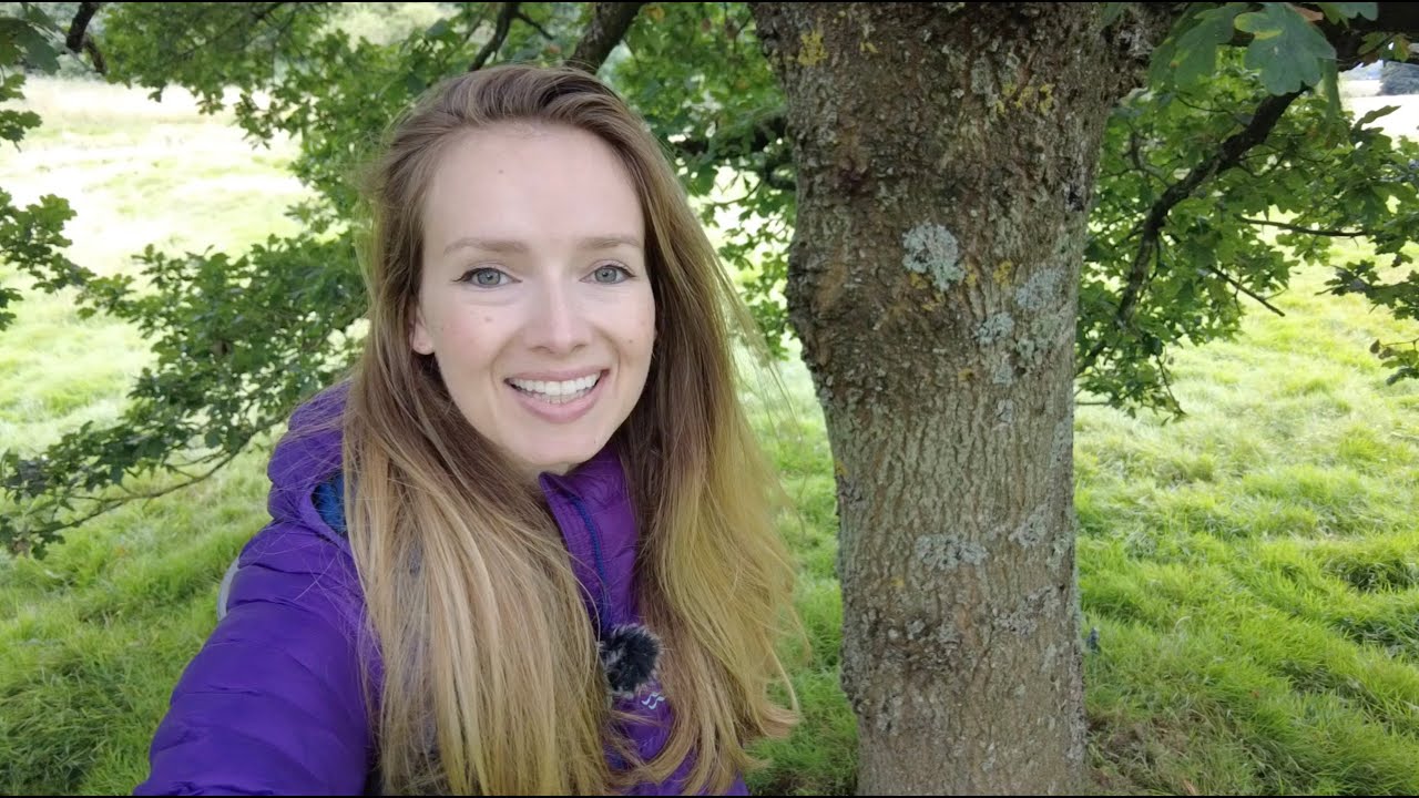 Identify an Oak Tree in FIVE easy steps