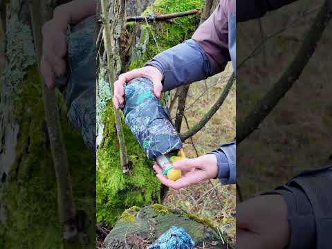 I Found a MINION Geocache #geocache #geocaching #treasurehunt