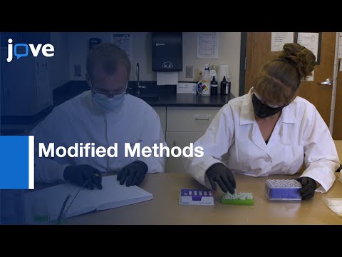Modified Methods: Loading-DNA Extraction Plates Reduce Potential-Contamination l Protocol Preview
