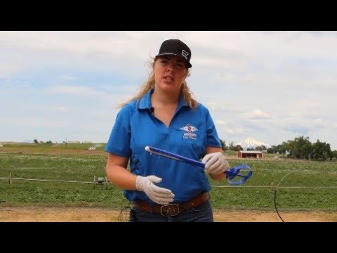 Word in the Herd - How to Insert CIDR