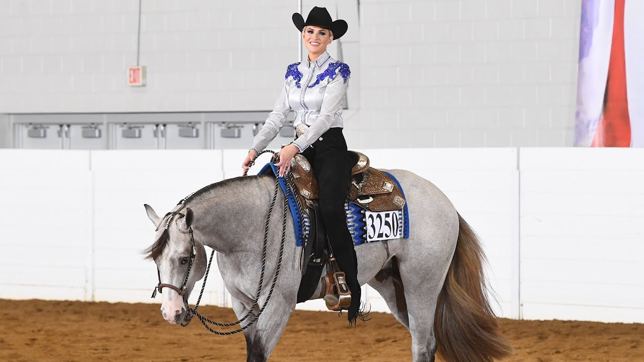 VS Phantom Code - AQHA/APHA Stallion