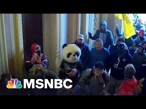 Jesse James Rumson biography: 10 things about US Capitol riot suspect ...