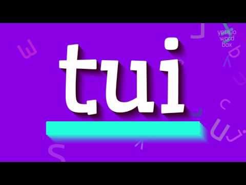 TUI - HOW TO PRONOUNCE IT?