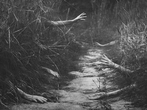 Interview with Screenwriter Wesley Steven Drent (NECROTICA) | Festival ...