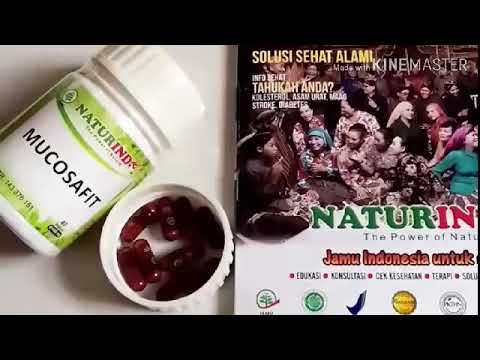 CARA CEPAT cek ijin BPOM herbal/jamu