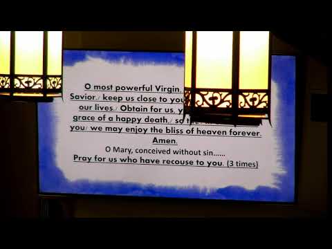 Dily 8:15 am Mass Thursday June 19, 2025