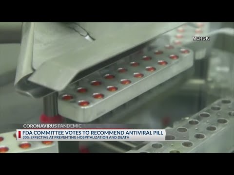 FDA COMMITTEE VOTES TO RECOMMEND ANTIVIRAL PILL