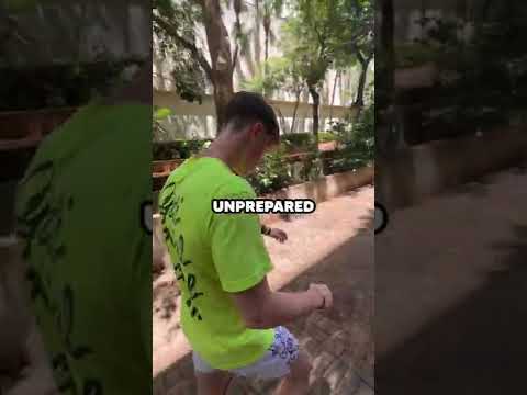 How Many Steps Does it Take To Walk Across A City?