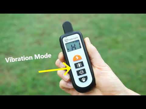 Top Dog Training Collar On Amazon | How To Use It