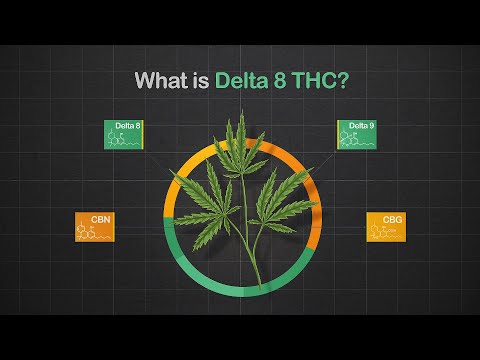 What is Delta 8 THC?