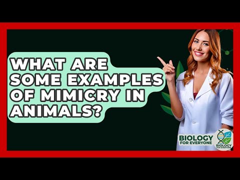 What Are Some Examples Of Mimicry In Animals? - Biology For Everyone