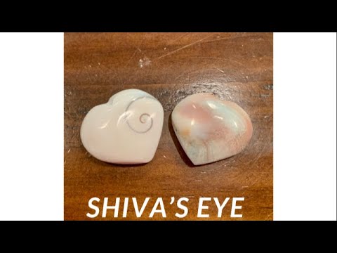 Shiva Eye Shell Feature