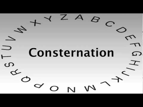 SAT Vocabulary Words and Definitions — Consternation