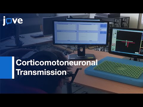 Corticomotoneuronal Transmission Changes Assessment | Protocol Preview