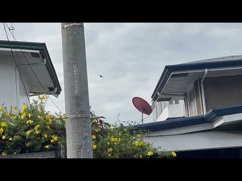 2x United States Army Sikorsky UH-60M Blackhawks flying over my house [Koy's aviation]