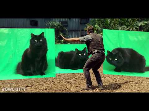 Jurassic Park - Behind The Scenes