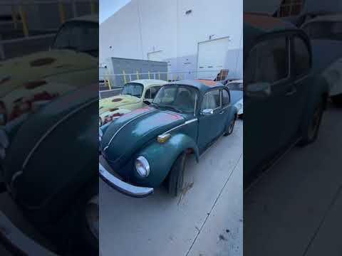JBugs Tips & Tricks - Super or Standard Beetle?