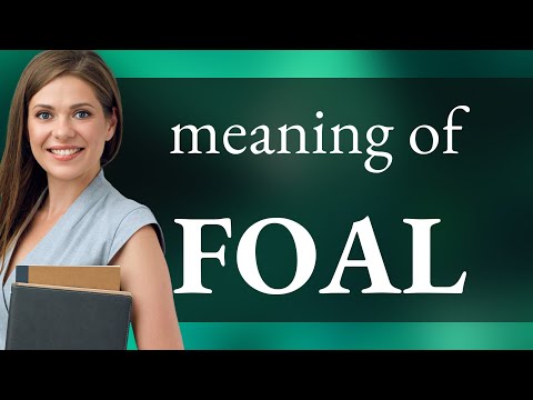 Foal | definition of FOAL