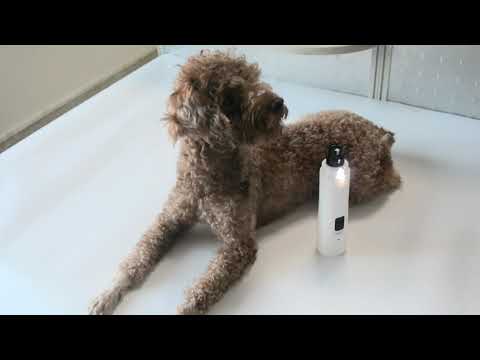 Casfuy Dog Nail Grinder with LED Light - Upgraded 2-Speed Electric Pet Nail Trimmer