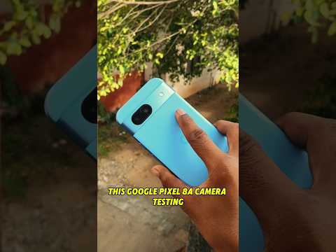Google pixel 8a camera video 4k 60 FBS test flower 🌹