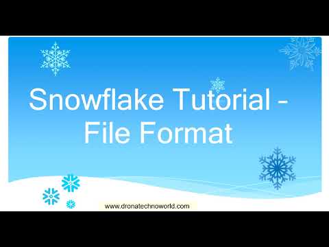 007 Snowflake Tutorial - How to create File Format for Data Load