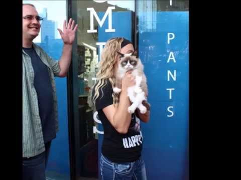 Slideshow: Grumpy Cat Greets Fans