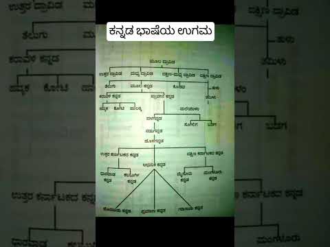 เฒเฒจเณเฒจเฒก เฒญเฒพเฒทเณเฒฏ เฒเฒเฒฎ | Origin of Kannada lagunge