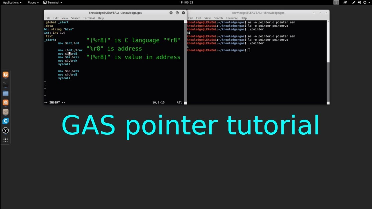 GAS x64 GNU Assembler pointer tutorial in Linux