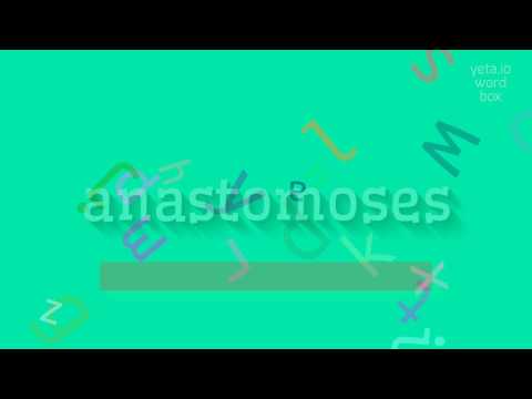 How to say "anastomoses"! (High Quality Voices)