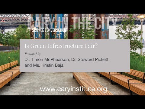 Is Green Infrastructure Fair?