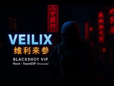 Blackshot VIP Hack - TeamESP (Showcase)