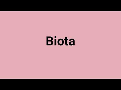 'Biota' Meaning and Pronunciation