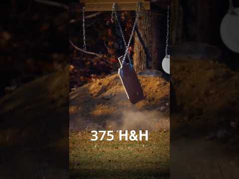 5.56 vs 7.5x55 vs 375 H&H