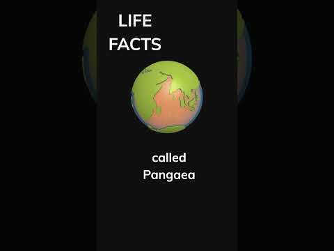 #116 Pangaea: The Ancient Supercontinent That Shaped our World