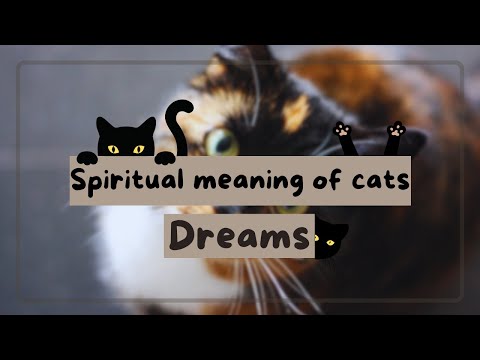 Spiritual Meaning of Cats in Dreams