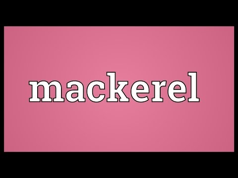 Mackerel Meaning